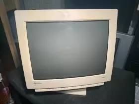 VX900 GATEWAY Crt Monitor